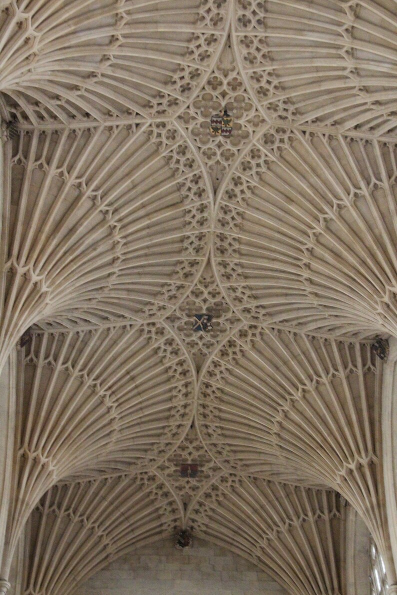 Fan Vaulting I Digital Fine Art Print - Etsy