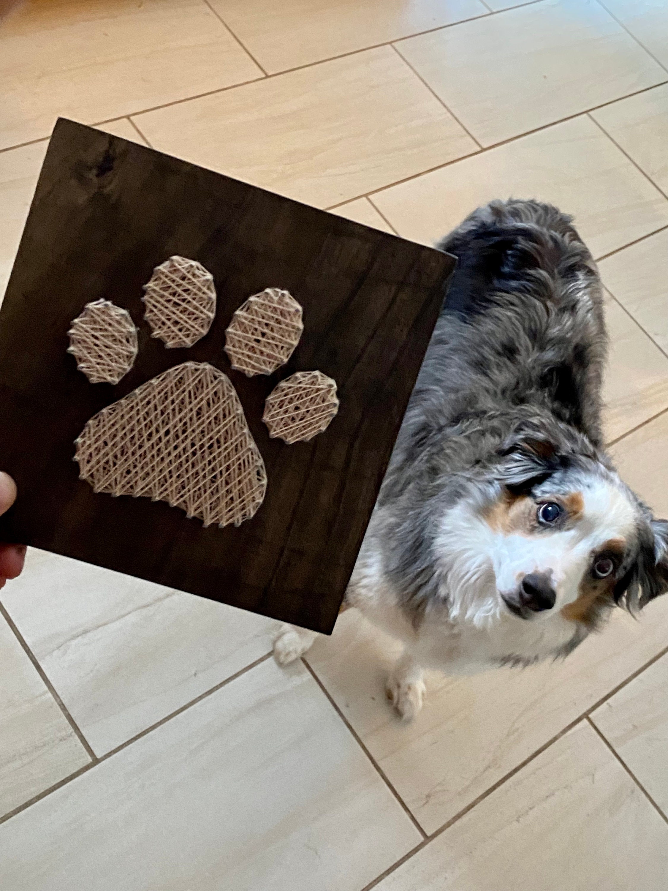 DIY Paw Print String Art Craft Kit Pet Lover String Art Beginner - Etsy