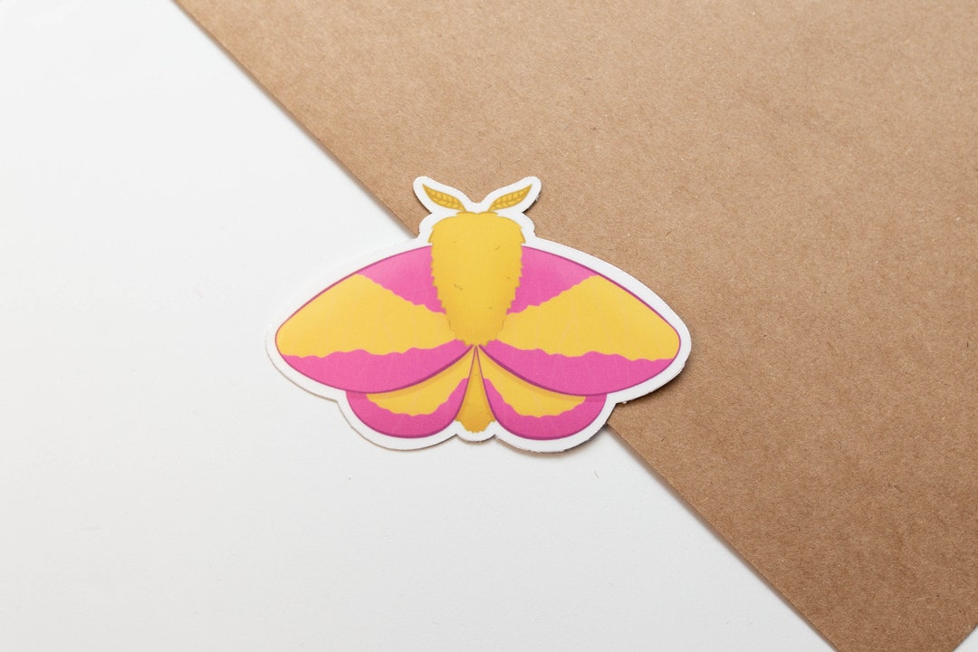 Rosy Maple Moth Sticker, Moth Gift, Cottagecore Sticker, Pink Moth ...