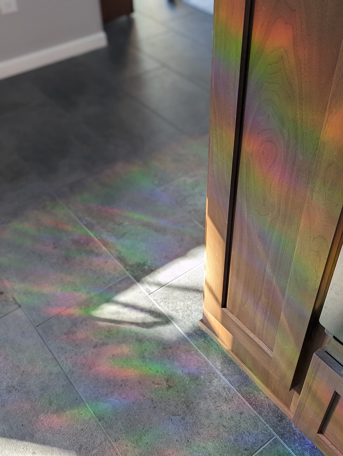 Bee and Honeycomb Suncatcher Sticker Iridescent Window - Etsy