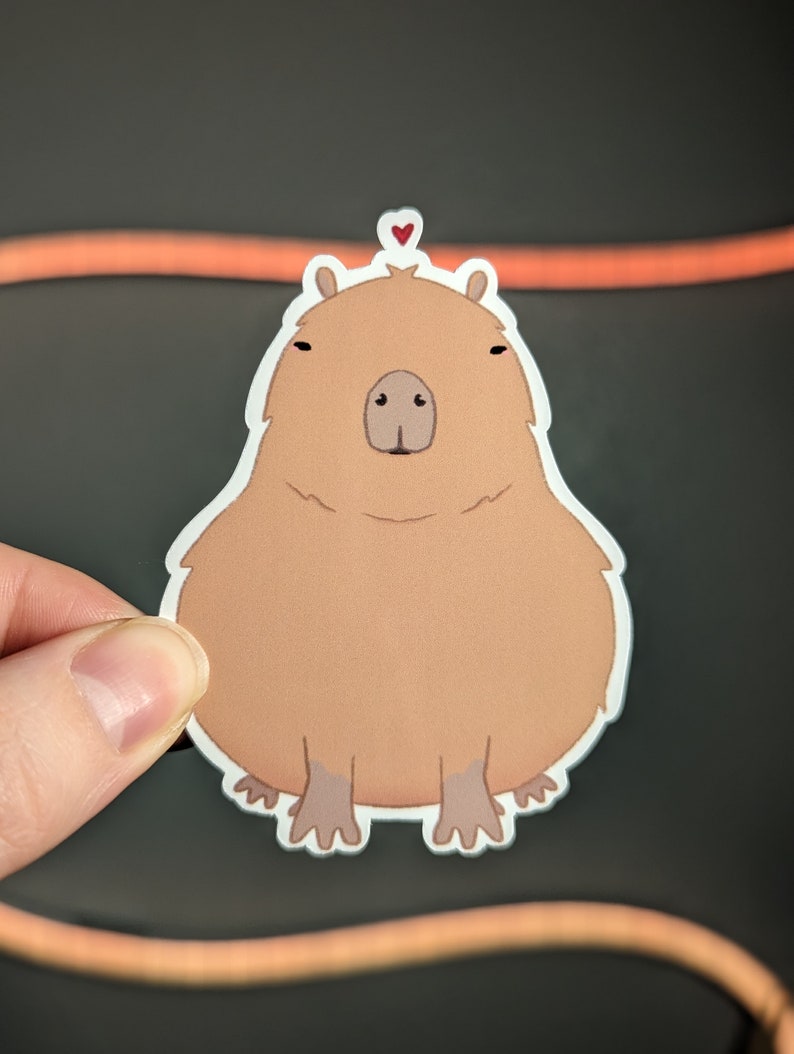 Capybara Sticker Cute Capybara Cute Gift for Friend - Etsy