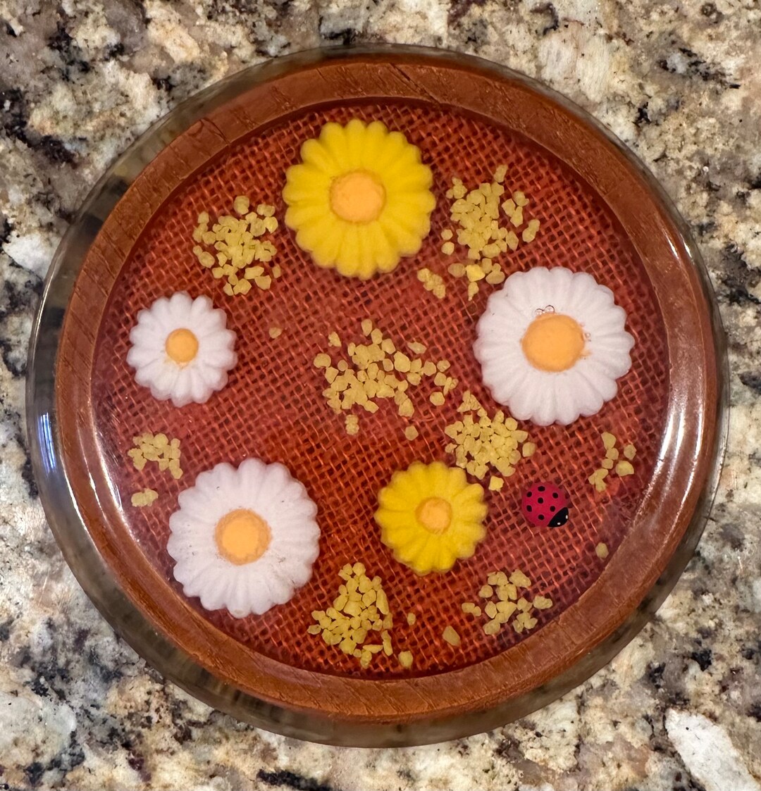 Flower Power, Vintage MCM Lucite Acrylic Trivet With Daisies & Ladybug ...