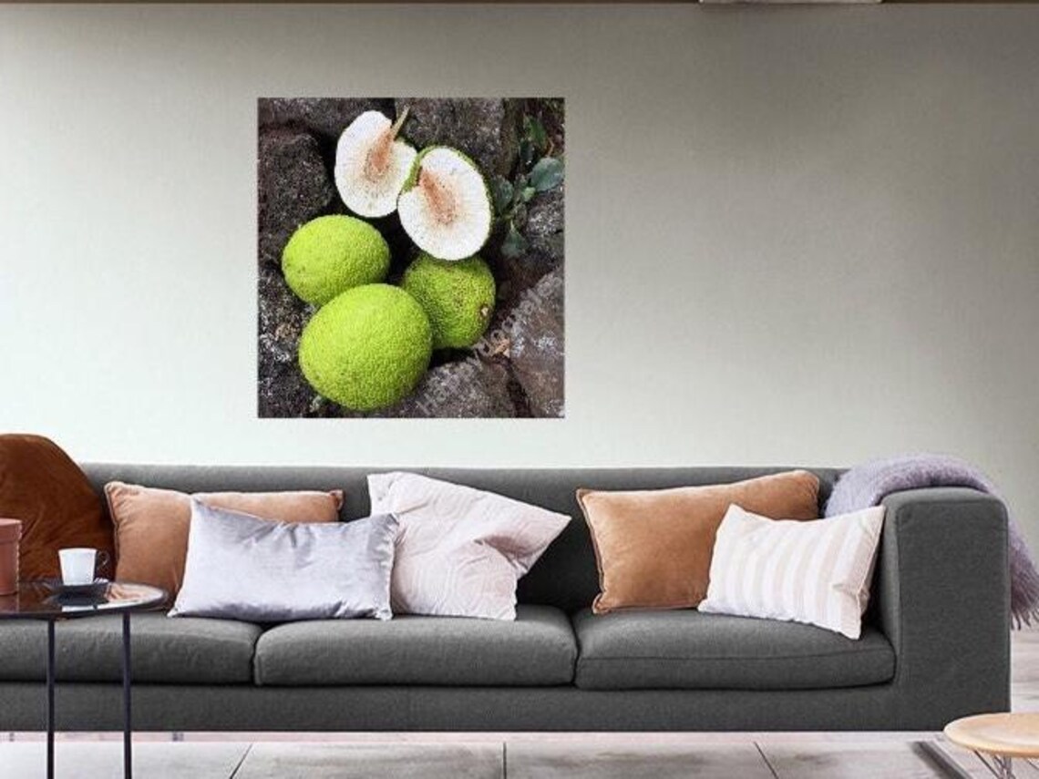 Stillness of the Breadfruit, Fine Art Photography, Kauai Hawaii, Fun Kitchen Wall Art - Etsy