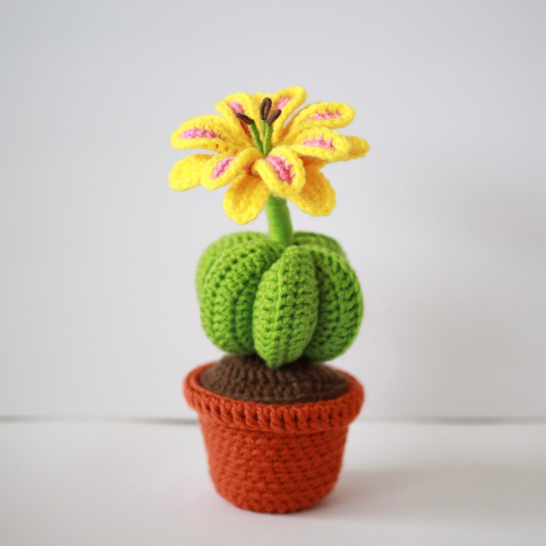 Crochet Cactus in a Pot Plant. Pattern PDF. Cactus With Flower. Crochet ...