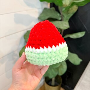 Watermelon Slice Crochet Pattern, Easy Plushie Pattern, Crochet PDF ...