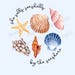 She Sells Seashells PNG, Clipart, Graphic - Etsy