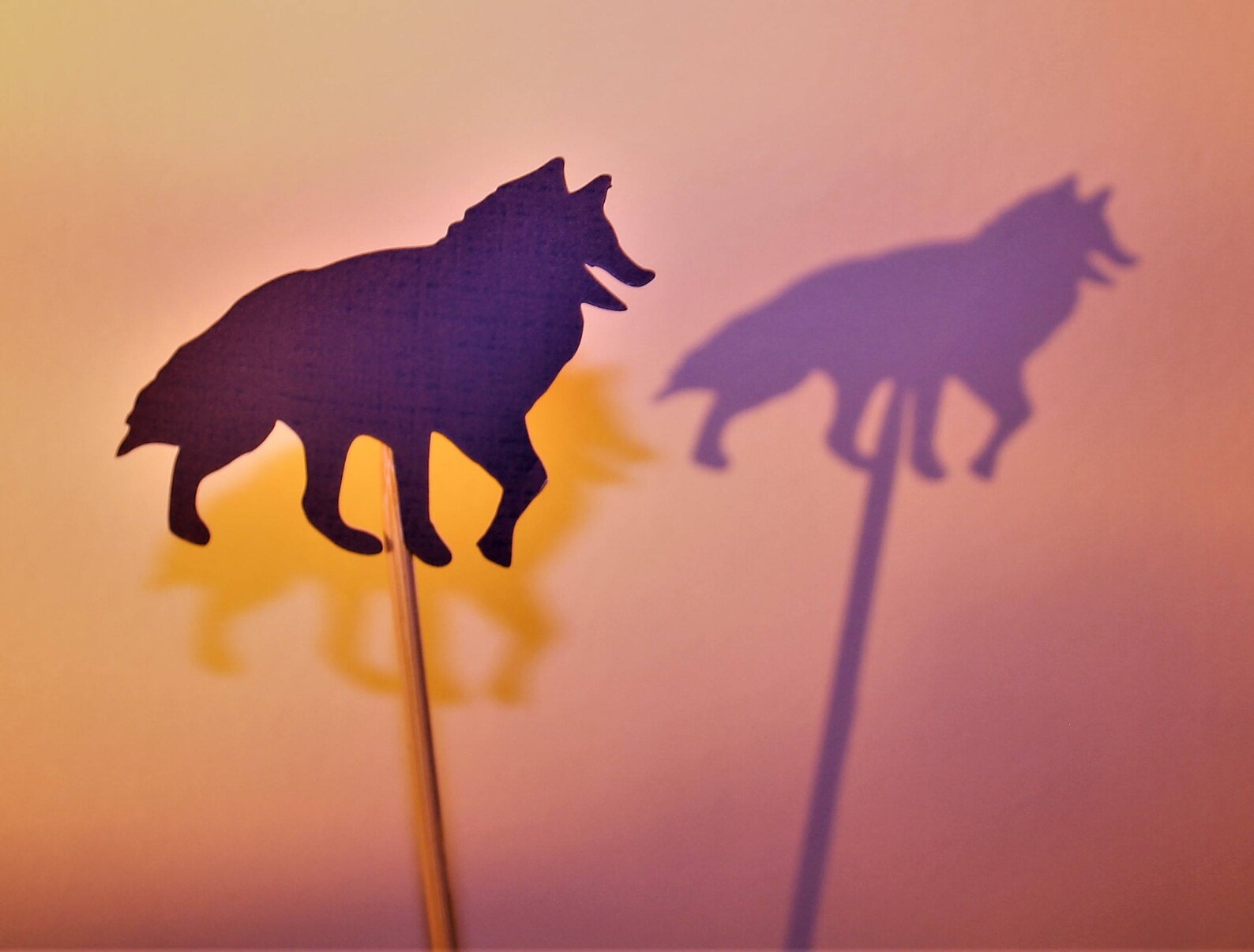 Create Your Own Fairy-Tale: Shadow Puppet Set for Kids.The Boy | Etsy