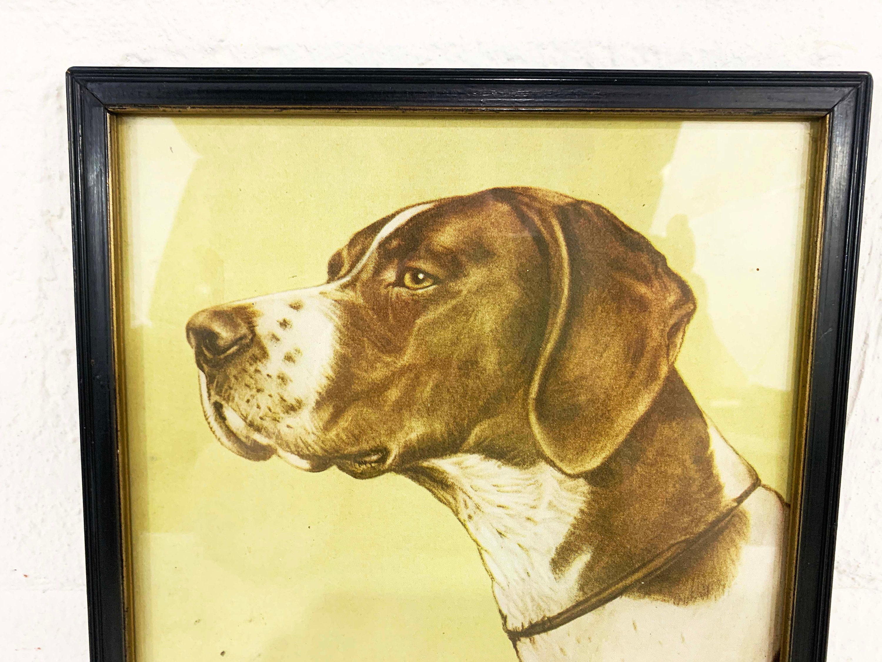 Vintage Howard Proctor Dog Portrait 1938 Litho Frame Dogs Framed 30s ...