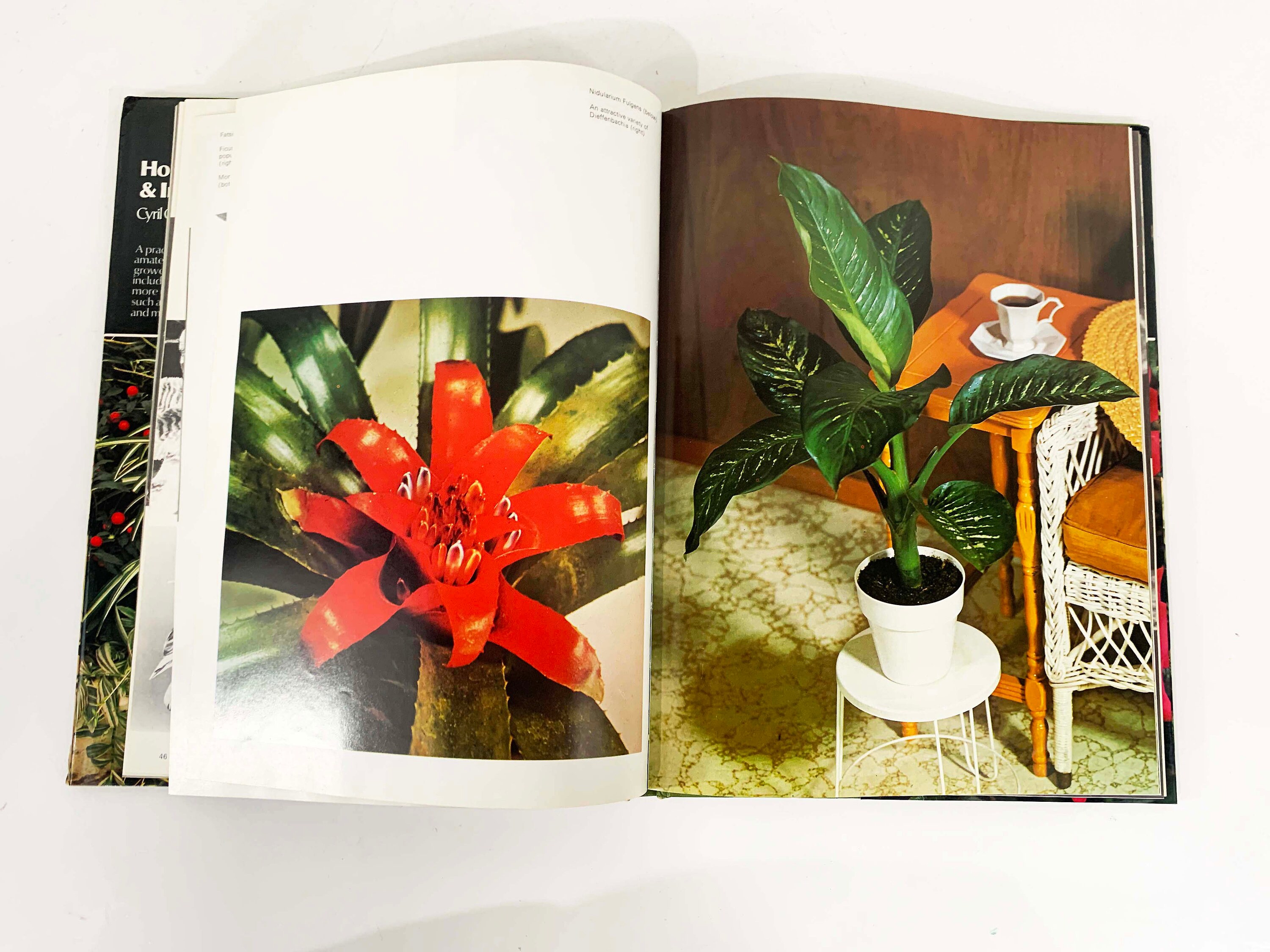 Vintage Houseplants and Indoor Gardening Book by Cyril Harris House ...