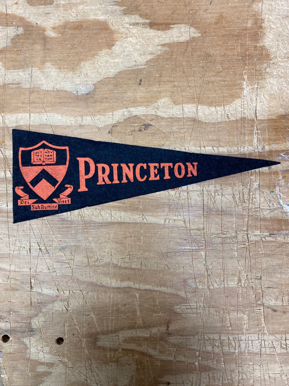 1950's Vintage Princeton Tigers College University MINI | Etsy