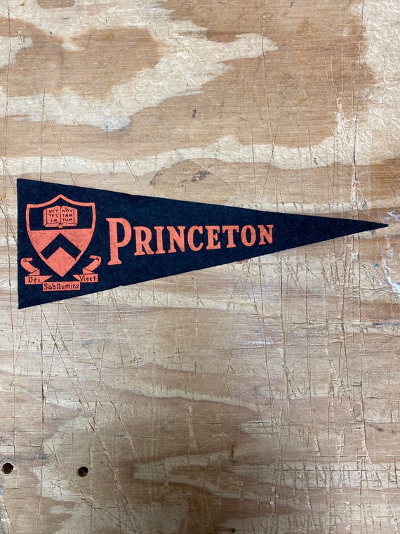 1950's Vintage Princeton Tigers College University MINI | Etsy
