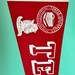 Vintage Temple Owls College University Pennant Flag Banner 12x30 Inches ...
