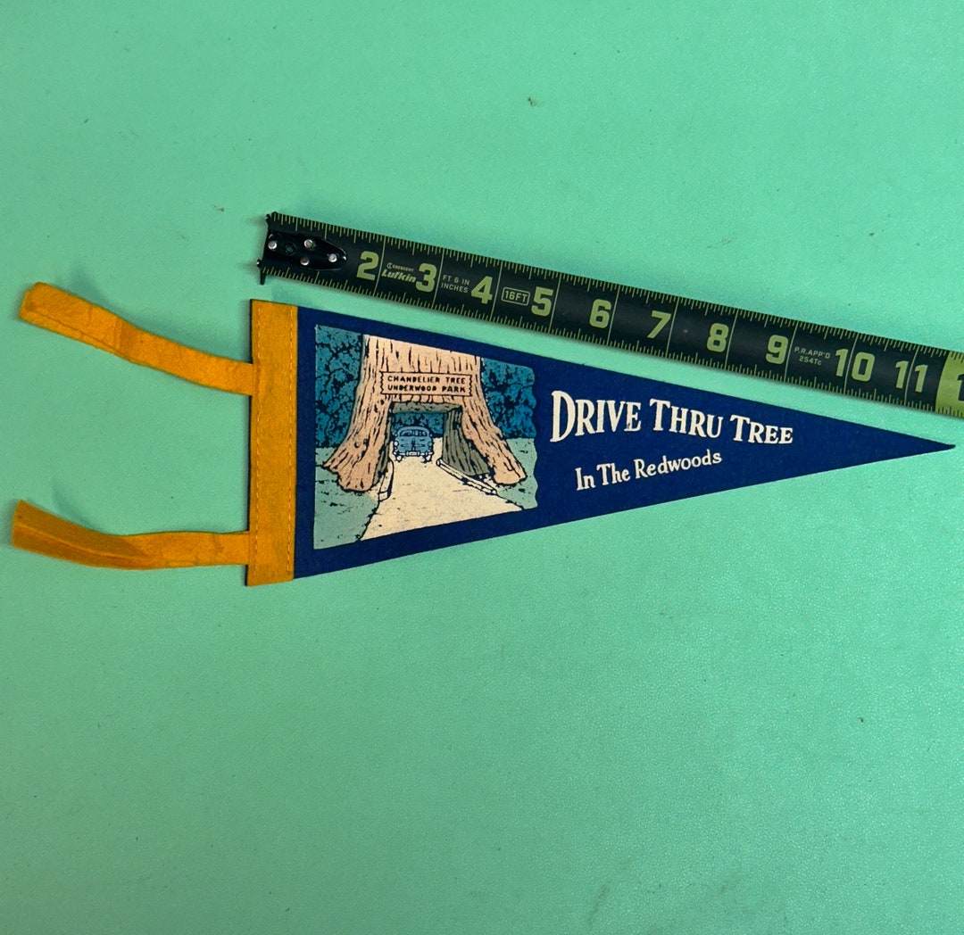 Vintage 1950s Drive Thru Tree in the Redwoods Chandeliers Tree ...