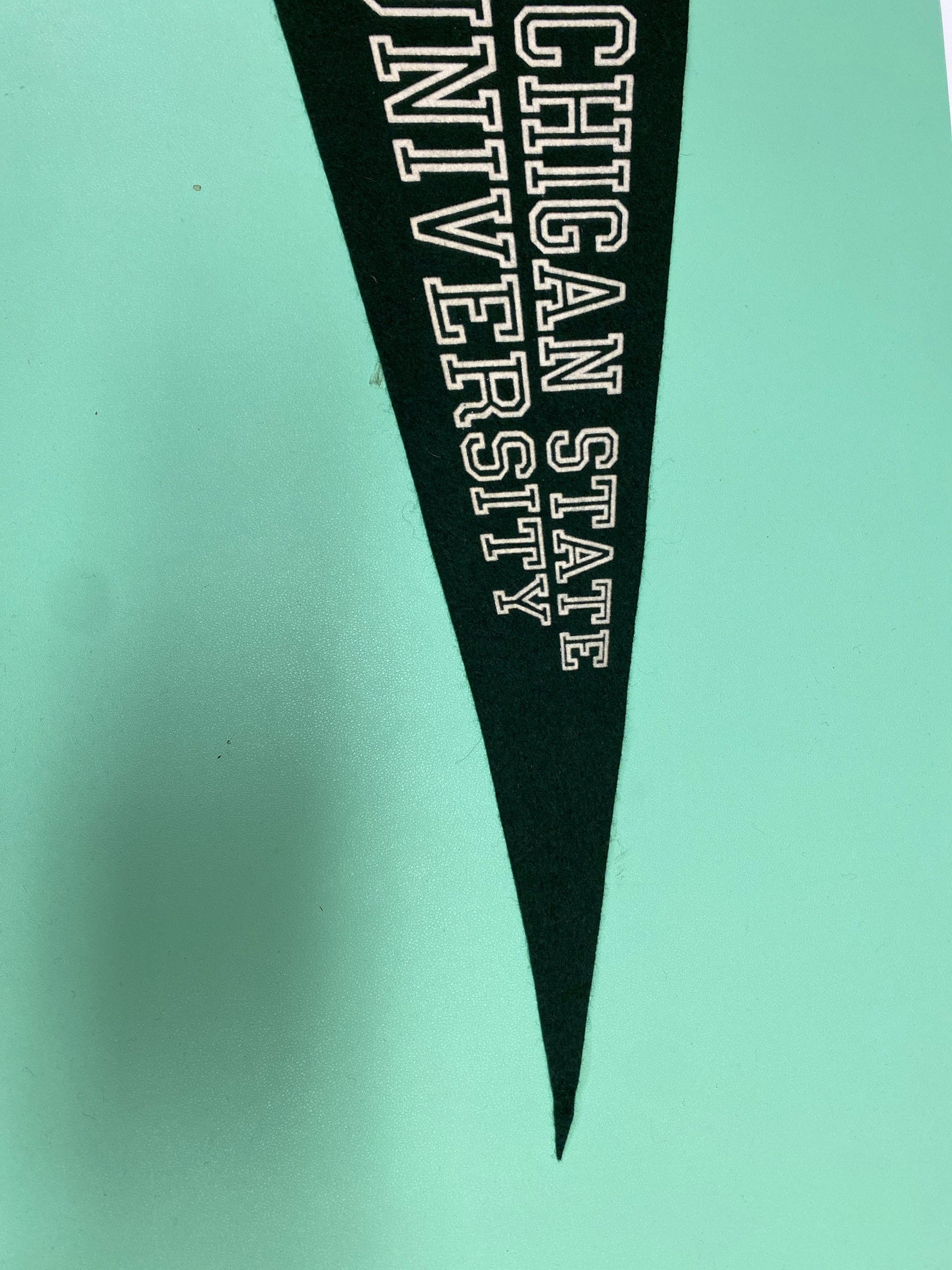 Vintage Michigan State Spartans College University Pennant | Etsy