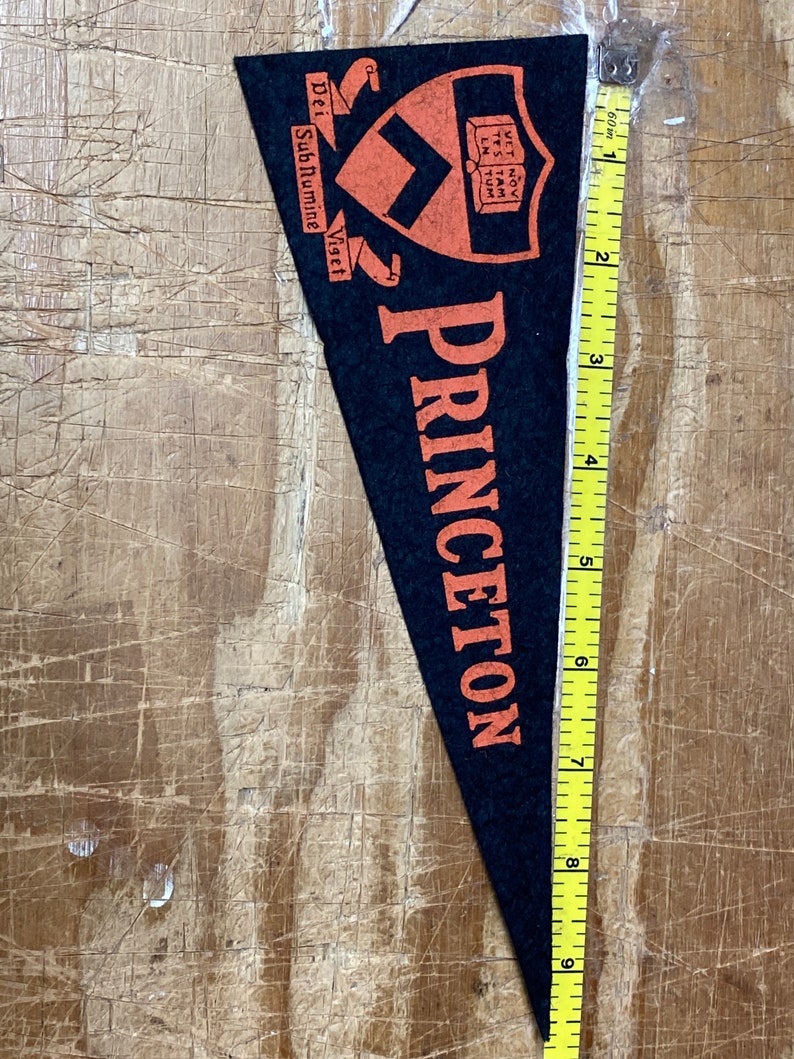 1950's Vintage Princeton Tigers College University MINI | Etsy