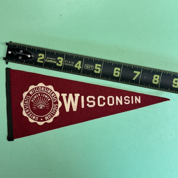 Wisconsin Badger - Etsy