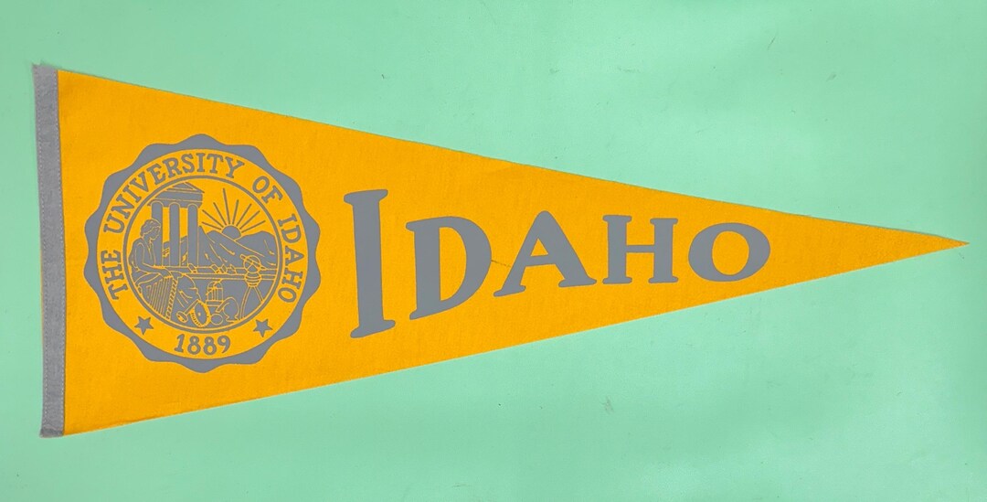 1960s Idaho Vandals University Pennant 12x30” Flag Banner - Etsy
