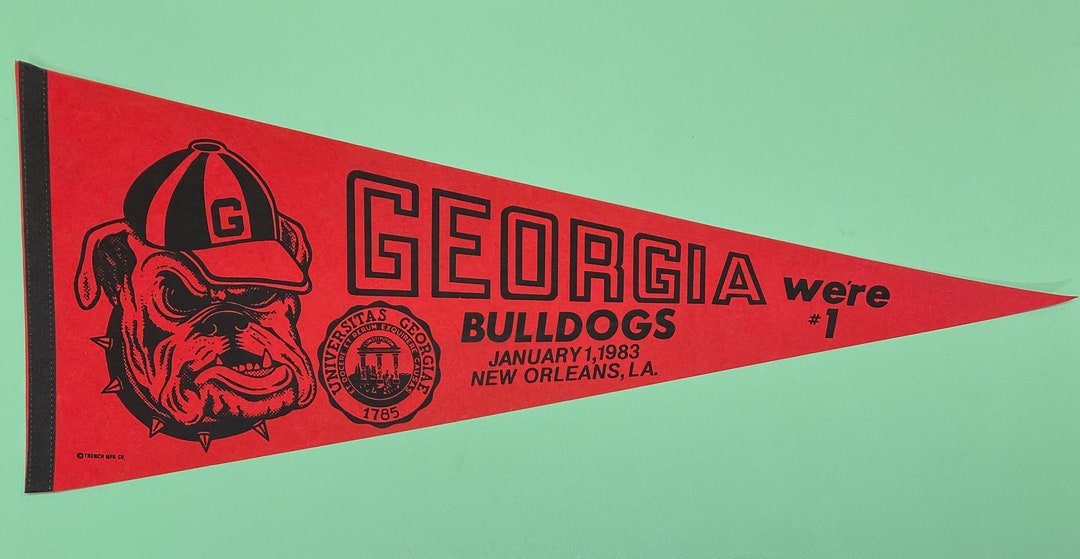 1983 Vintage Georgia Bulldogs College University Pennant Flag Banner ...