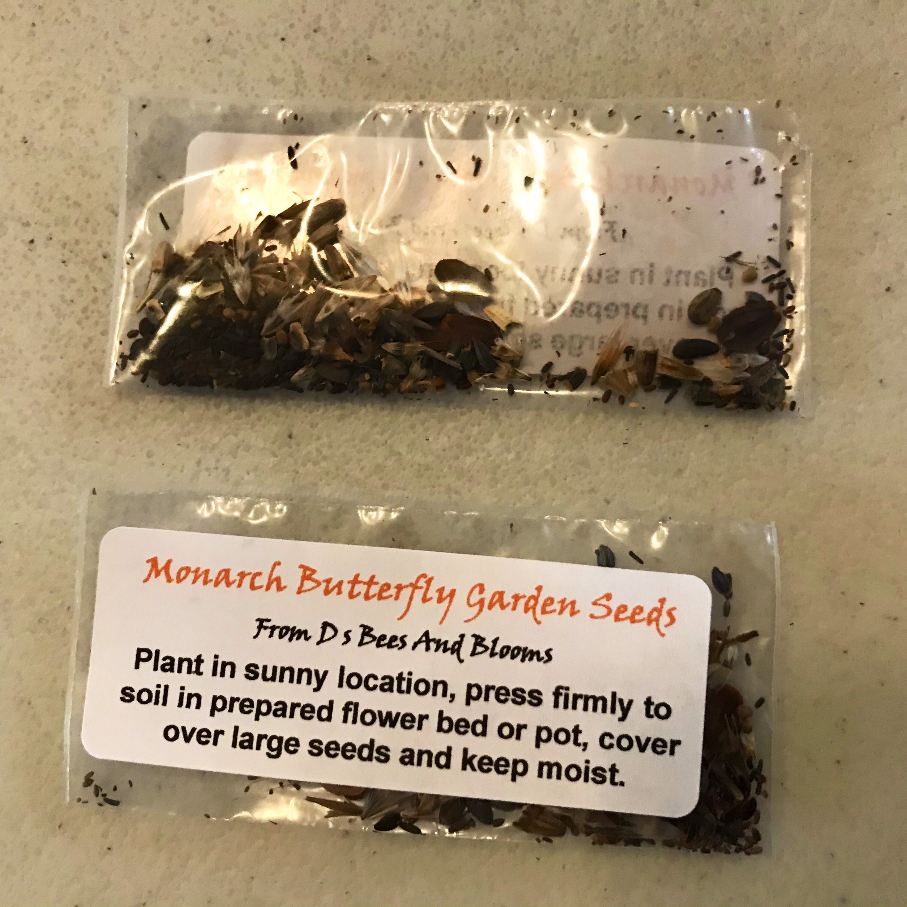 Monarch Butterfly Garden Seeds - Etsy