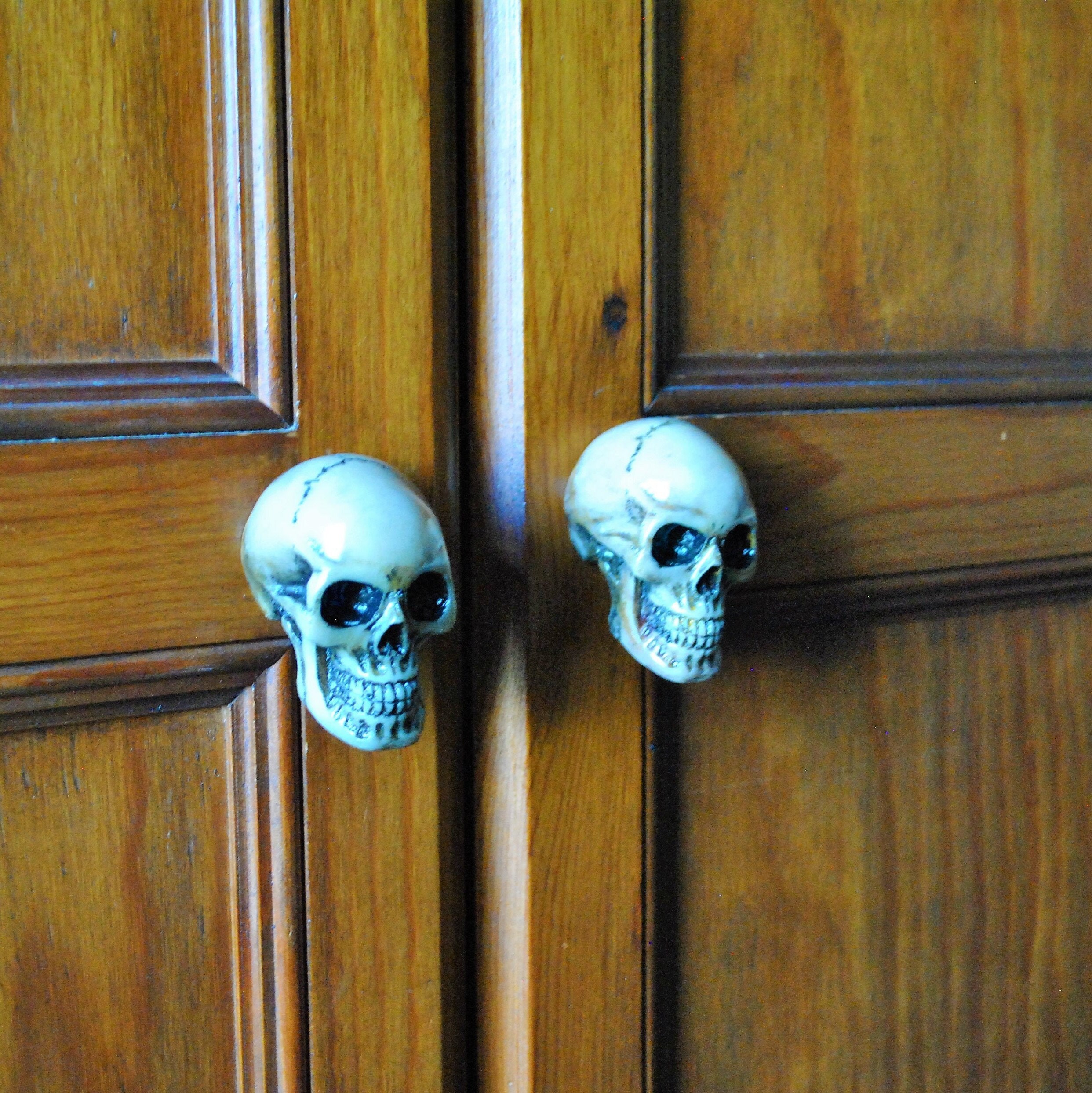 Skull Drawer Knobs Gothic Drawer Knobs Skull Door Handles | Etsy
