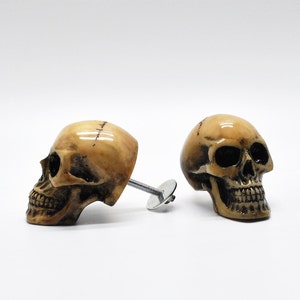 Skull Drawer Knobs Gothic Drawer Knobs Skull Door Handles - Etsy UK
