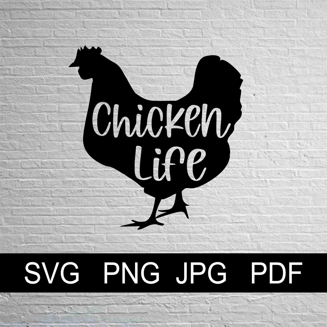 Vector Chicken Life Design SVG Png Jpg Pdf Studio, Studio3, Silhouette ...