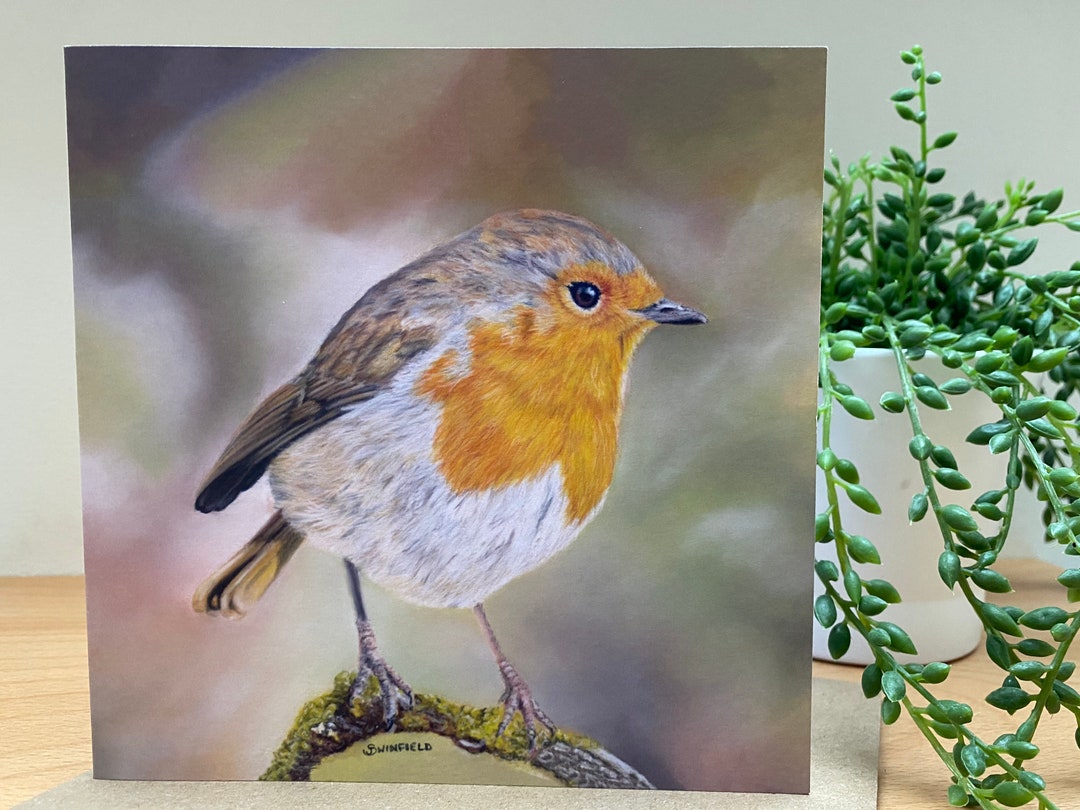 Robin Christmas Card British Wildlife Card Blank Christmas - Etsy