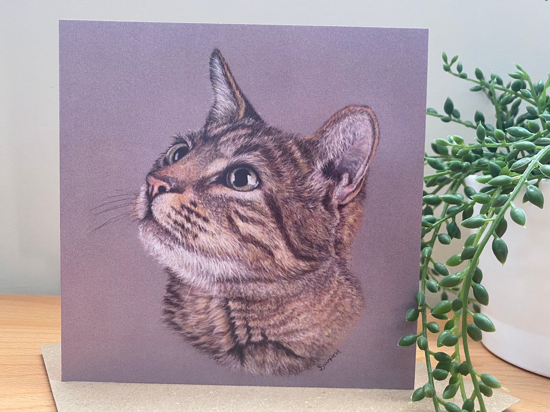 Tabby Cat Greeting Card Tabby Cat Card Cat Lovers Birthday - Etsy