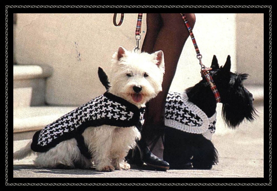 Knitting Patt - Dogs Checked Coats/ Fit Westie Size Dog - Etsy UK