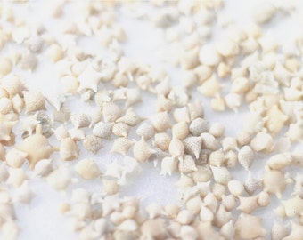 Okinawa star sand | Etsy