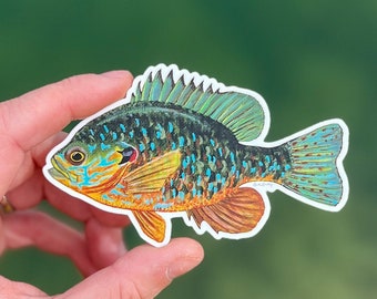 Sunfish - Etsy