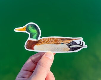 Mallard Duck Sticker - Etsy