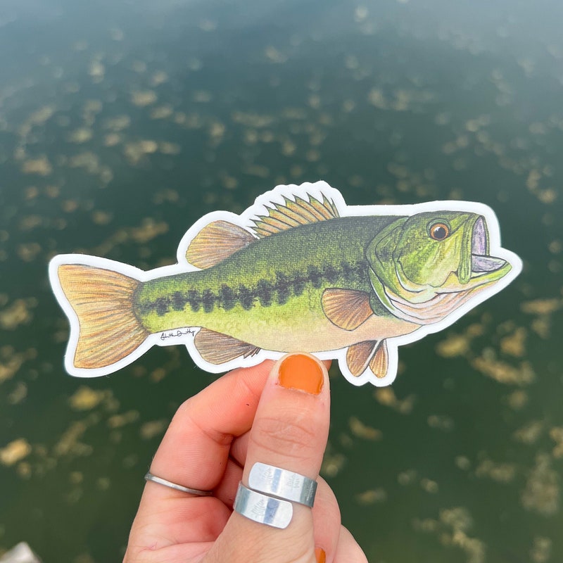 Bass Pro Fishing Tackle Boxes - Etsy