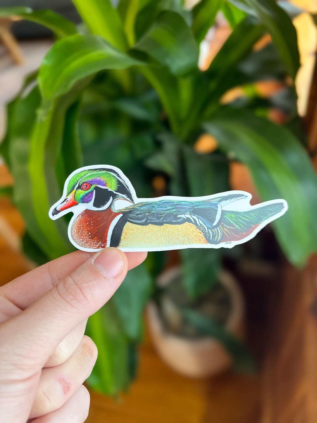 Wood Duck Sticker Vinyl Wood Duck Decal Waterproof Bird Sticker Tackle ...