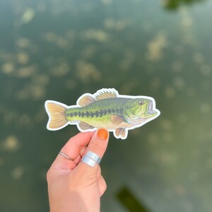 Largemouth Bass Sticker | Vinyl Bass Decal | Waterproof | Bass Sticker ...