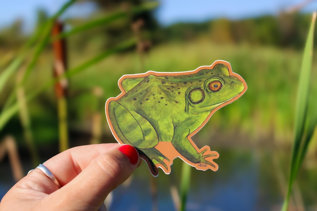 Bullfrog Vinyl Sticker | Waterproof Decal | Frog Sticker | Hand Painted ...