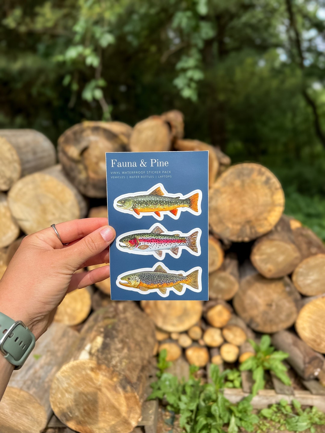 Trout Stickers | Trout Sticker Pack | Waterproof | Fishing Gifts for ...