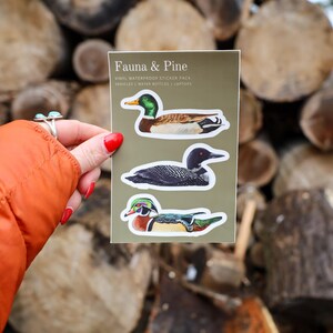 Waterfowl Stickers | Bird Sticker Pack | Waterproof | Gifts for Bird ...