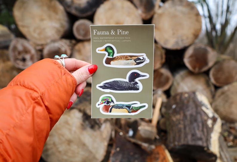 Waterfowl Stickers | Bird Sticker Pack | Waterproof | Gifts for Bird ...