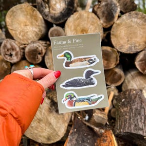 Waterfowl Stickers | Bird Sticker Pack | Waterproof | Gifts for Bird ...