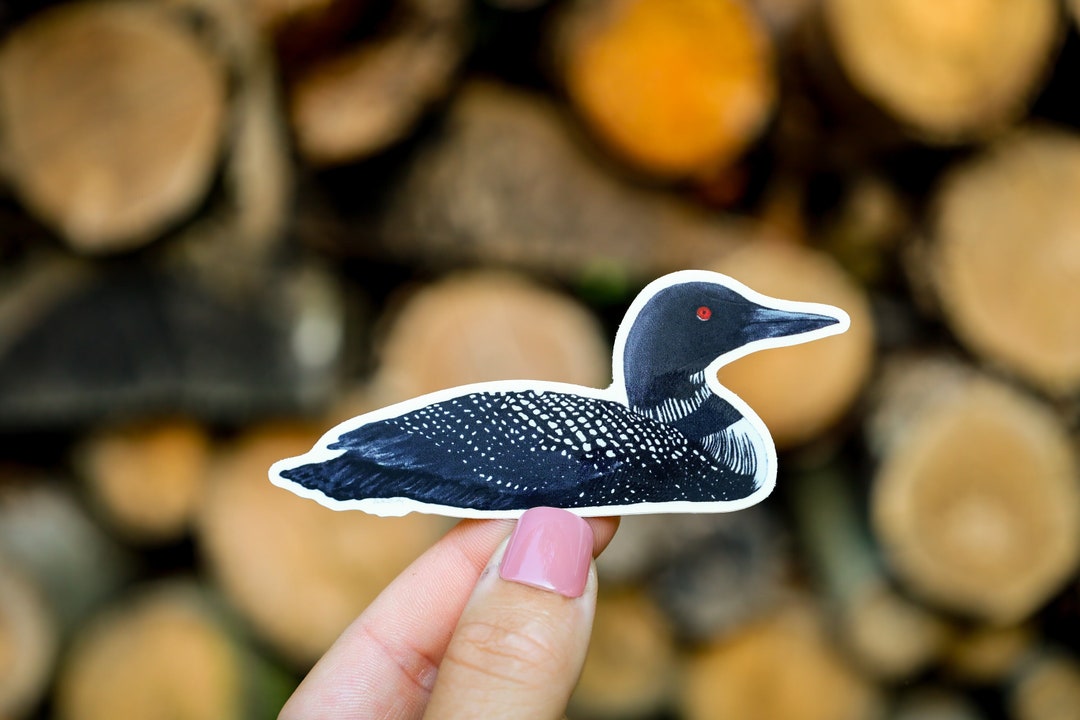 Common Loon Sticker | Vinyl Loon Decal | Waterproof | Loon Sticker ...