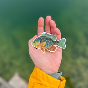 Pumpkinseed Fish Vinyl Decal | Waterproof | Sunfish Sticker | Panfish ...