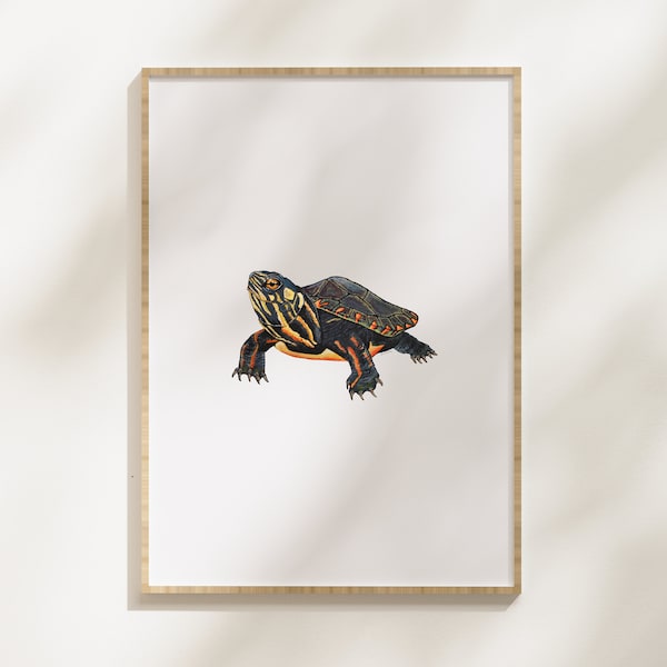 Turtle Print - Etsy