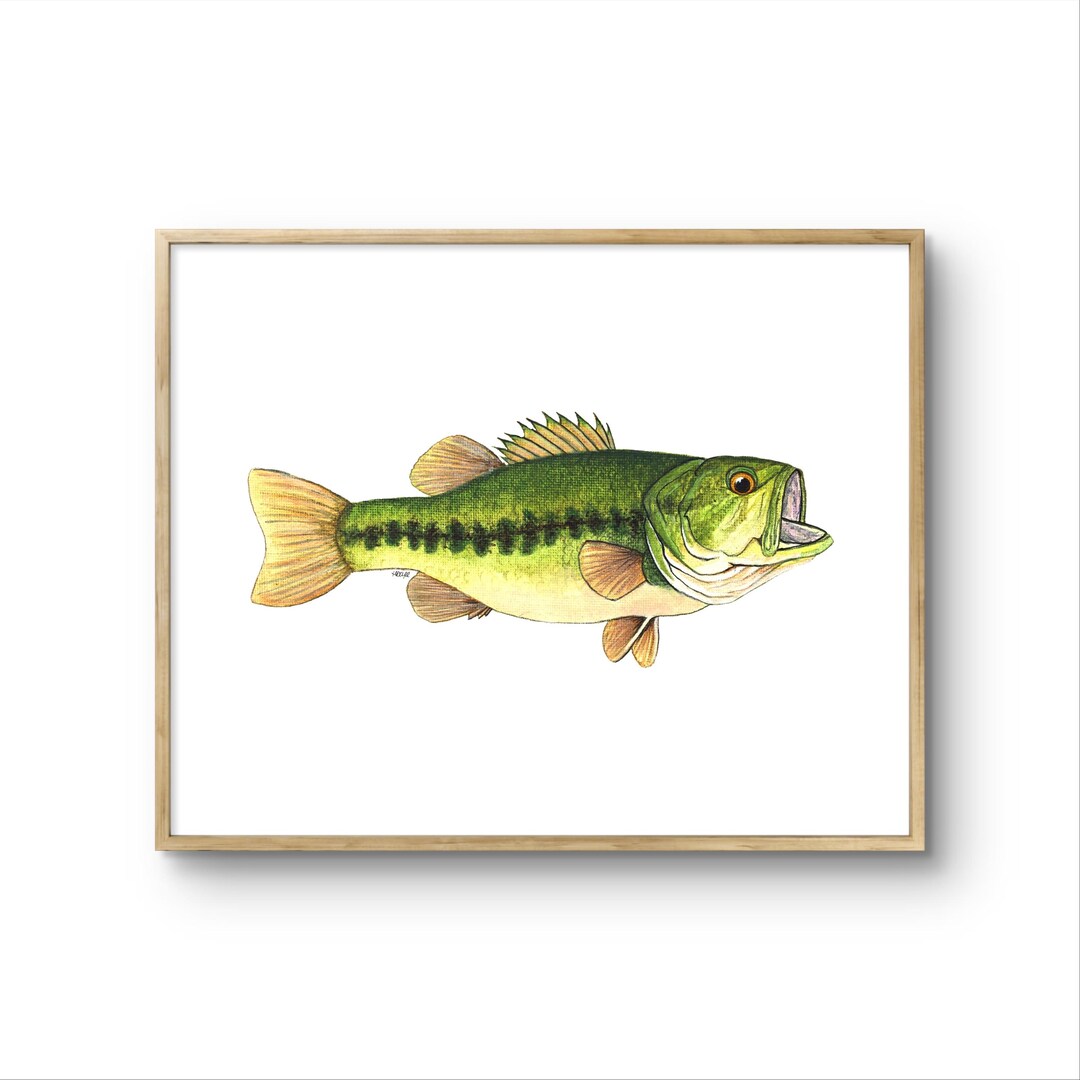 Largemouth Bass Print | Largemouth Bass Painting | Largemouth Bass Art ...