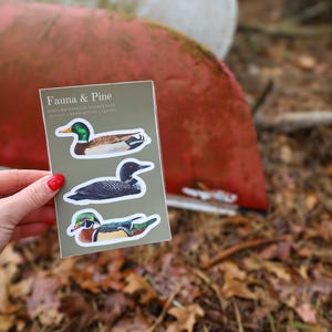 Waterfowl Stickers | Bird Sticker Pack | Waterproof | Gifts for Bird ...