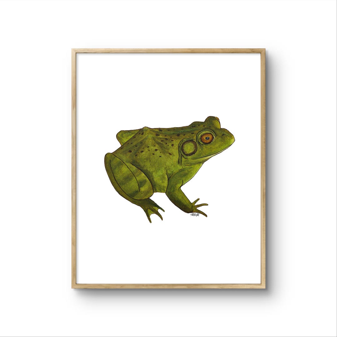 Bullfrog Print | 8x10 Print | Nature Print | Wildlife Print | Bullfrog ...