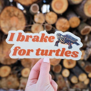 I Brake for Turtles Bumper Sticker | Turtle Sticker | Painted Turtle ...