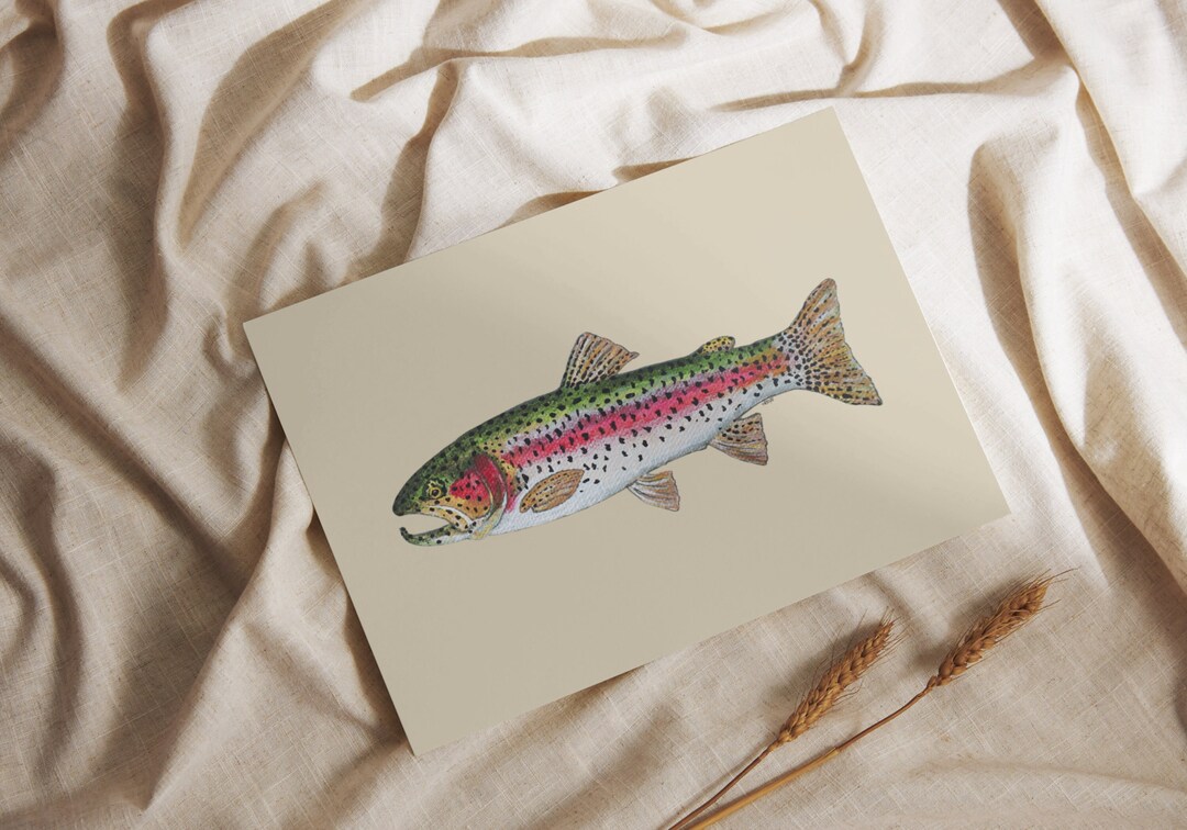Rainbow Trout Print Rainbow Trout Painting Rainbow Trout - Etsy