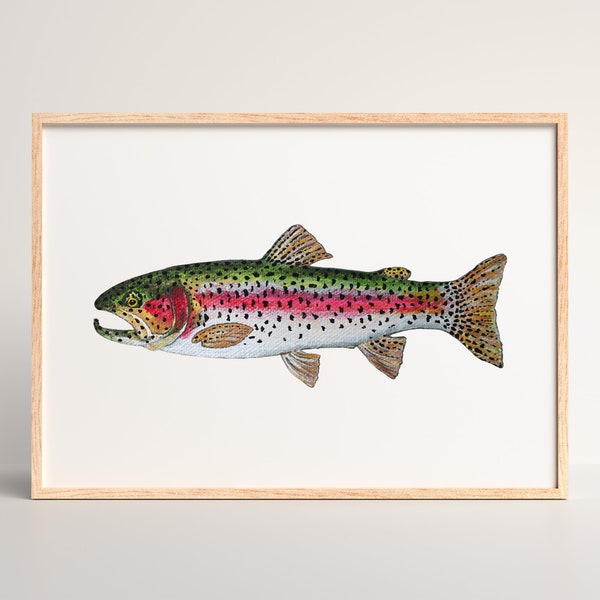 Rainbow Trout Art - Etsy