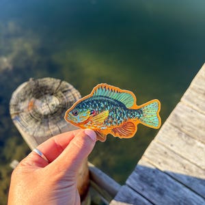 Pumpkinseed Fish Vinyl Decal | Waterproof | Sunfish Sticker | Panfish ...
